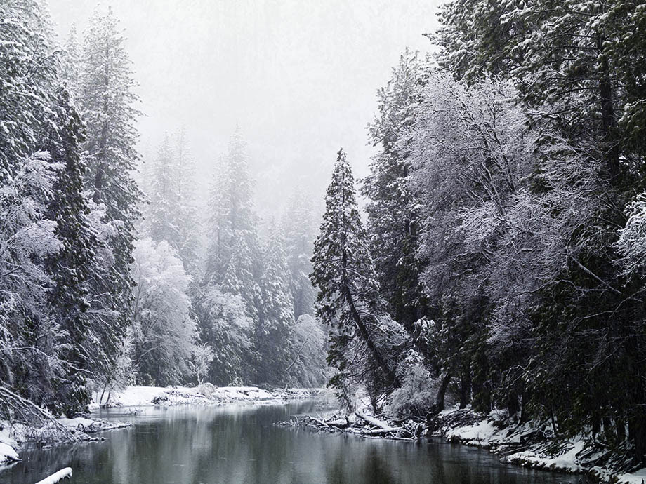 Pristinelight - Yosemite natural photography